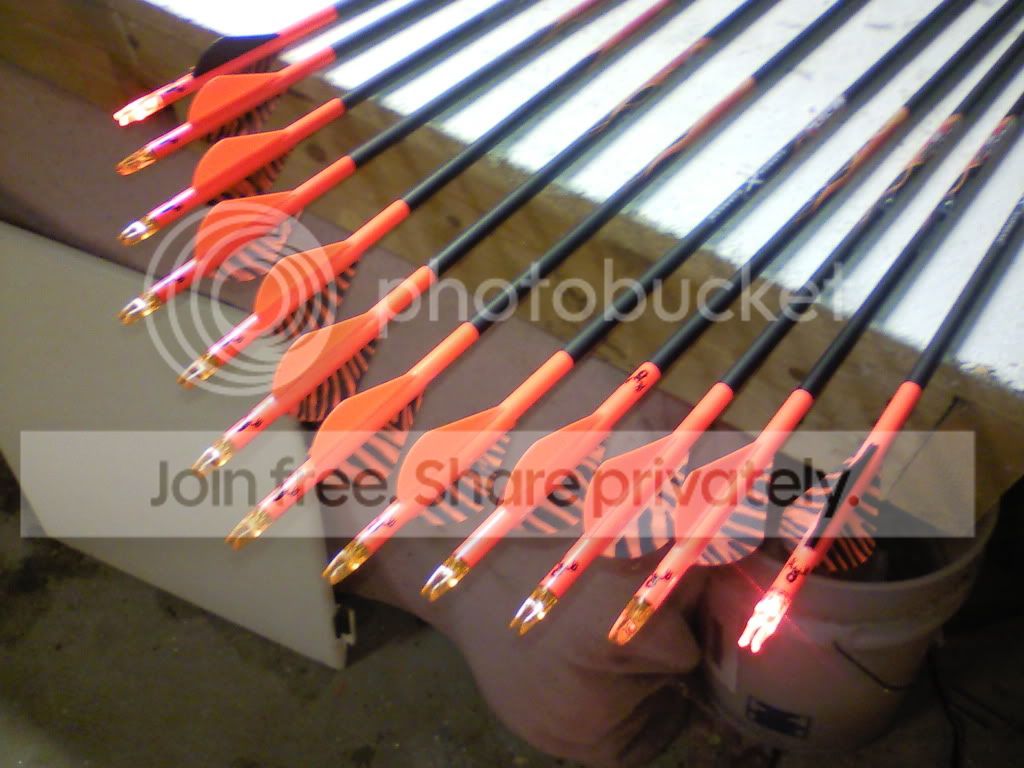 Post up your fletching color combo. | Page 4 | Archery Talk Forum